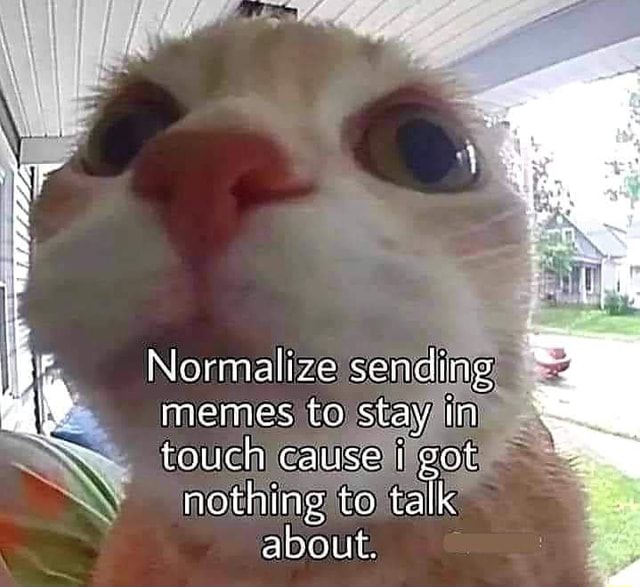 Normalize sending memes to stay in touch cause i got nothing to talk ...