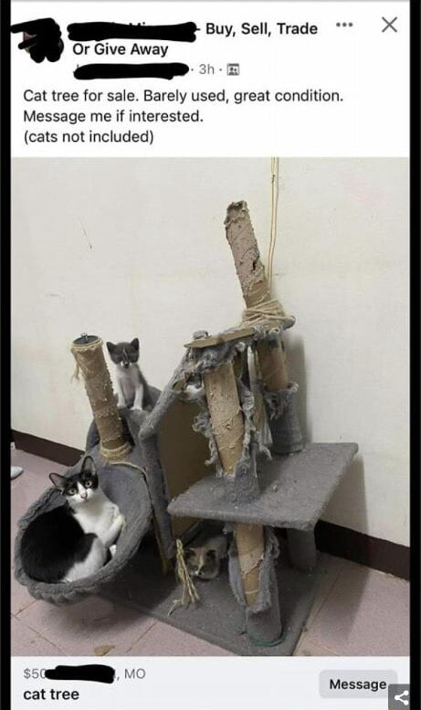 Buy, Sell, Trade X Or Give Away Cat tree for sale. Barely used, great ...
