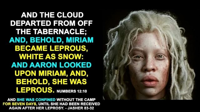 AND THE CLOUD DEPARTED FROM OFF THE TABERNACLE; AND, BEHOLD, MIRIAM ...