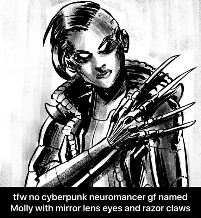 Tfw no cyberpunk neuromancer gf named Molly with mirror lens eyes and ...