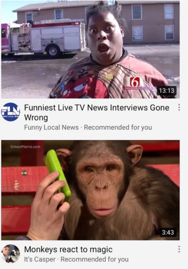 Funniest Live TV News Interviews Gone Wrong Funny Local News ...