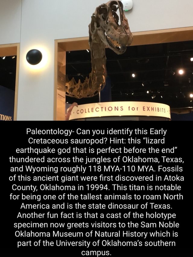 For - Paleontology- Can you identify this Early Cretaceous sauropod ...