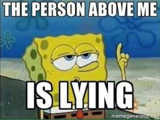THE PERSON ABOVE ME IS LYING - iFunny