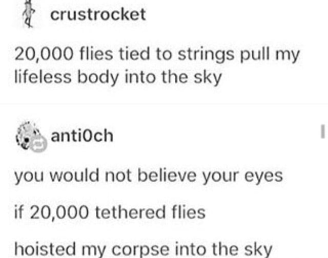 Crustrocket 20,000 flies tied to strings pull my lifeless body into the ...