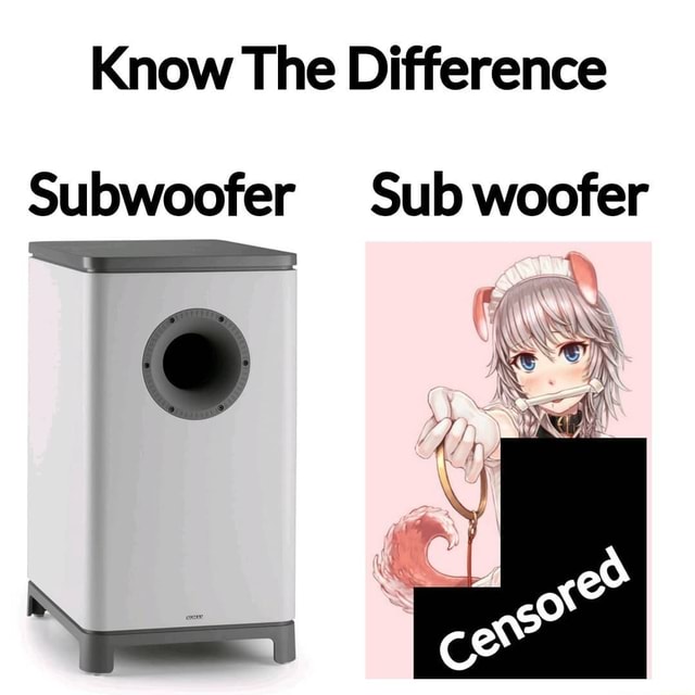 Know The Difference Subwoofer Sub woofer - iFunny