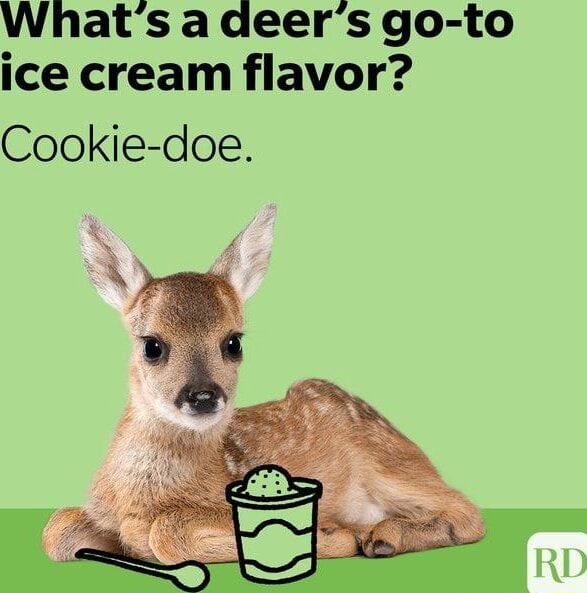 What's a deer's go-to ice cream flavor? Cookie-doe. - iFunny