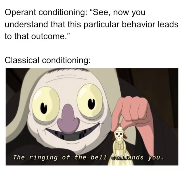 Operant conditioning: "See, now you understand that this particular ...