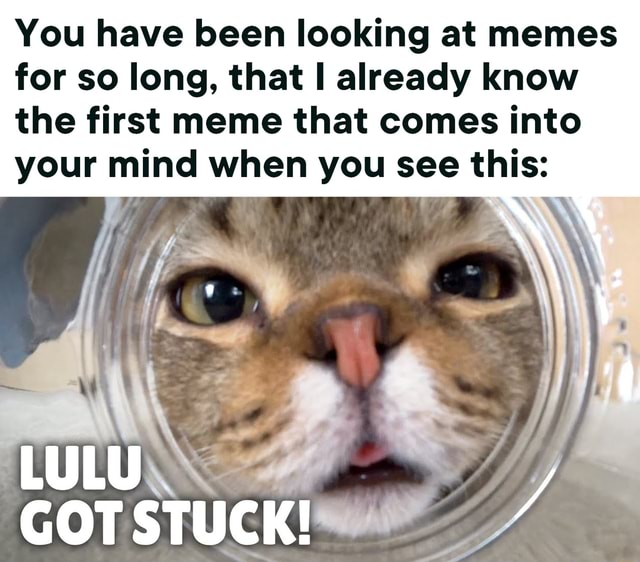 You have been looking at memes for so long, that I already know the ...