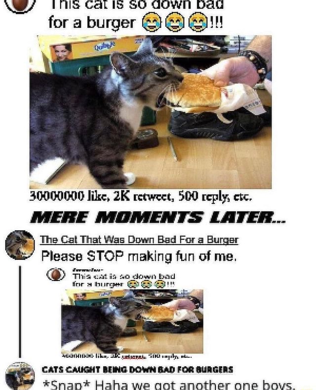 Calls SO GUWIT Dau for a burger GSo" 30000000 like, reewoct, 500 reply ...