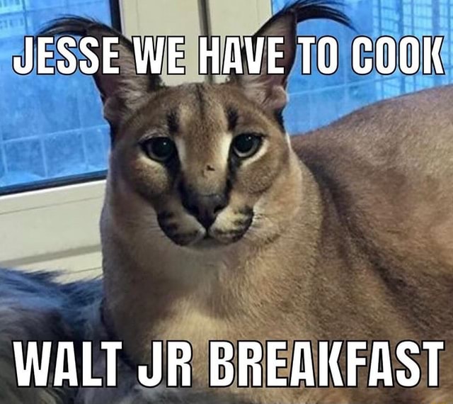 JESSE WE HAVE TO COOK WALT JR BREAKFAST - iFunny