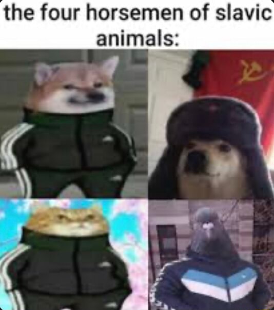 The four horsemen of slavic animals: I - iFunny