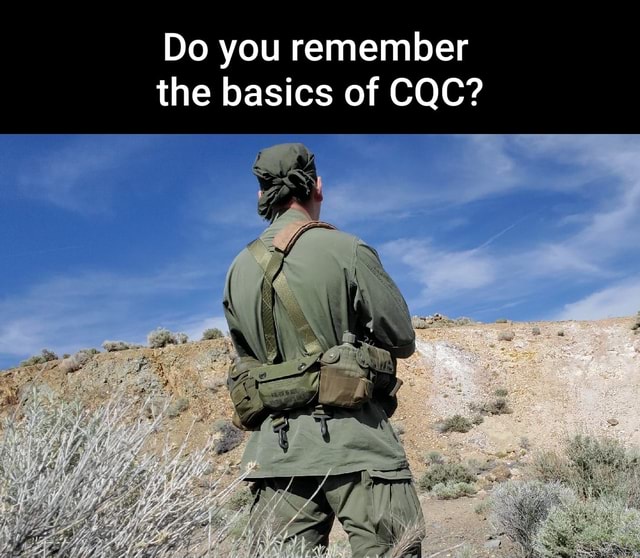 Do you remember the basics of CQC? - iFunny
