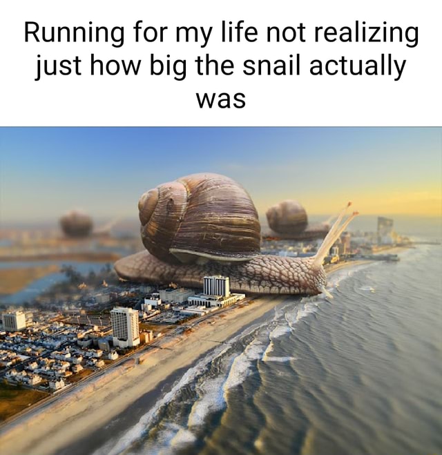 Running for my life not realizing just how big the snail actually was ...