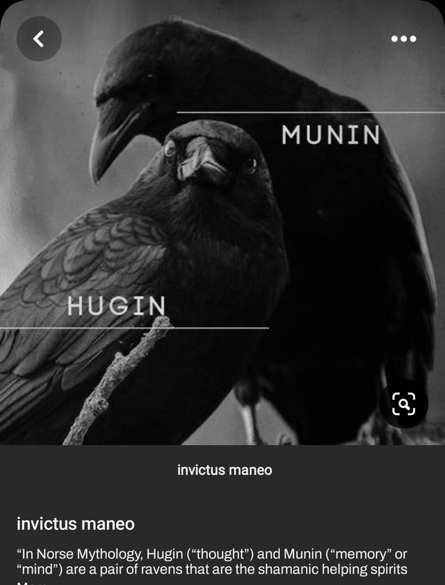 Eoe MUNIN invictus maneo invictus maneo "In Norse Mythology, Hugin ...