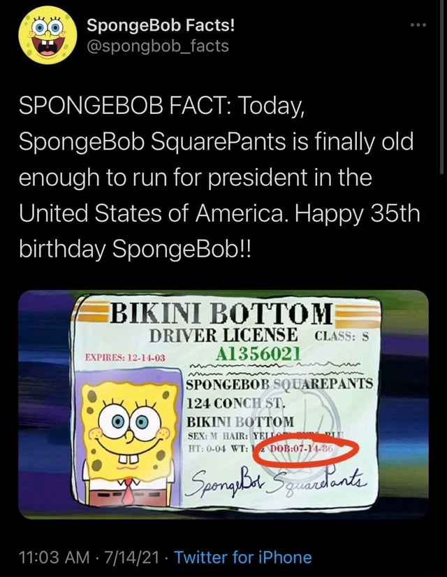 SPONGEBOB FACT: Today, SpongeBob SquarePants is finally old enough to ...
