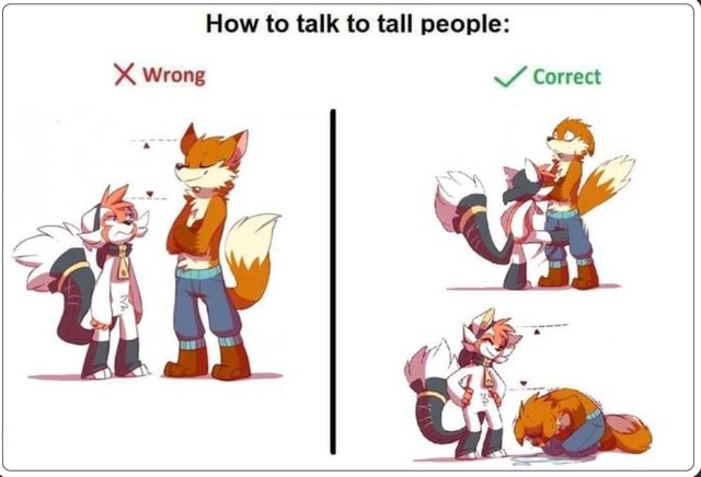 How to talk to tall people: Correct - iFunny