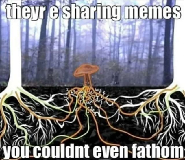 'the gliariiig memes you couldnt even fathom - iFunny