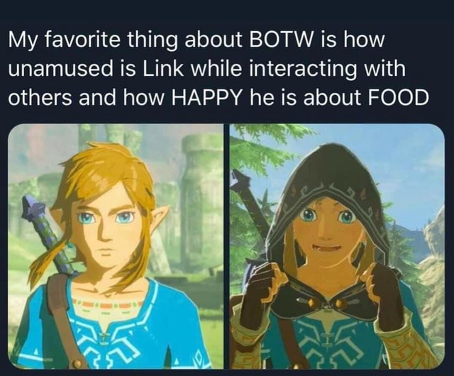 My favorite thing about BOTW is how unamused is Link while interacting ...