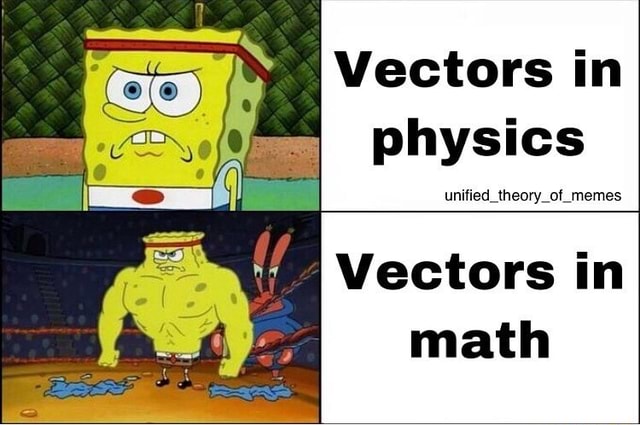 Vectors in physics _memes Vectors in math - iFunny