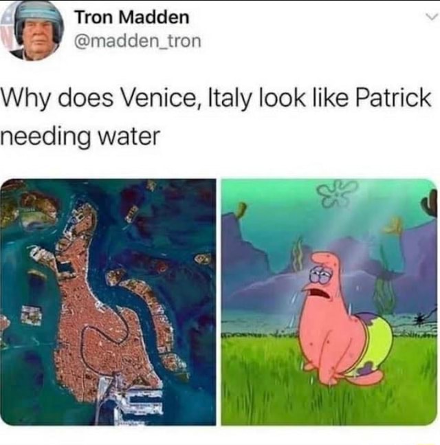 Tron Madden @madden tron Why does Venice, Italy look like Patrick ...