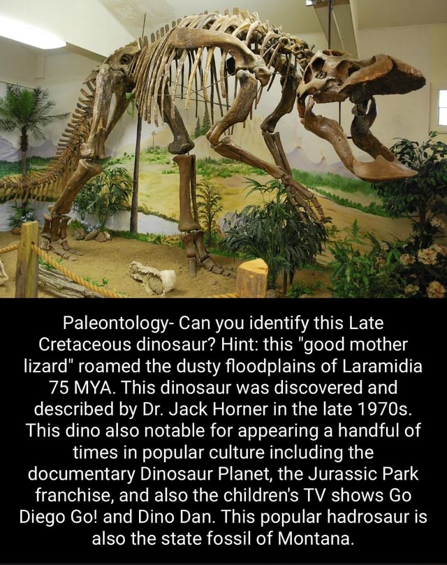 Paleontology- Can you identify this Late Cretaceous dinosaur? Hint ...