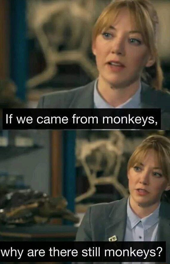 We came from monkeys, why are there still monkeys? - iFunny