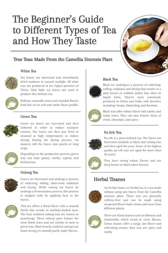 The Beginner's Guide to Different Types of Tea and How They Taste True ...