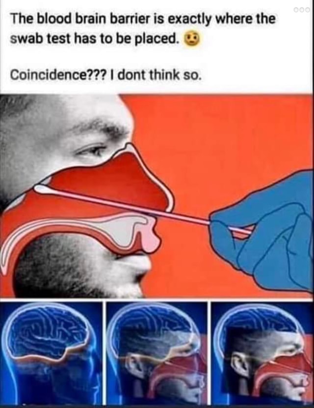 The blood brain barrier is exactly where the swab test has to be placed ...