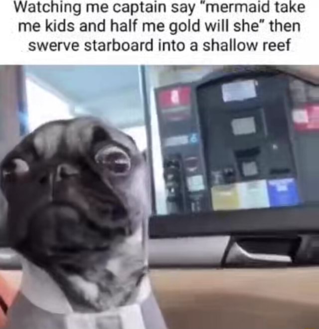 Watching me captain say "mermaid take me kids and half me gold will she ...