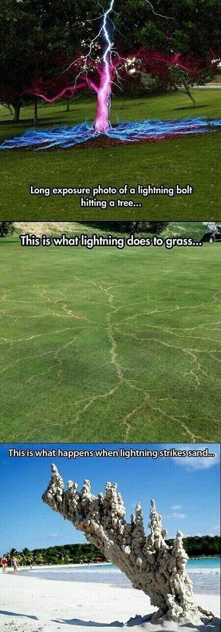 Long expesure photo of a lightning bolt hitting a tree... This is what ...