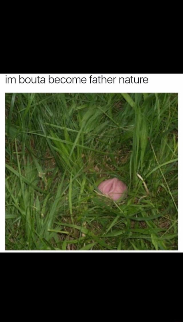 Im bouta become father nature - iFunny