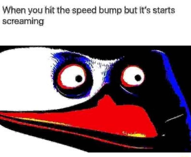 When you hit the speed bump but it’s starts screaming - iFunny