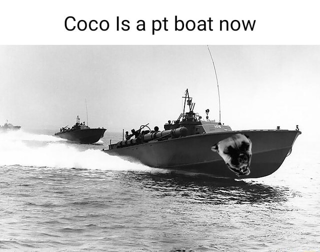 Coco Is a pt boat now - iFunny