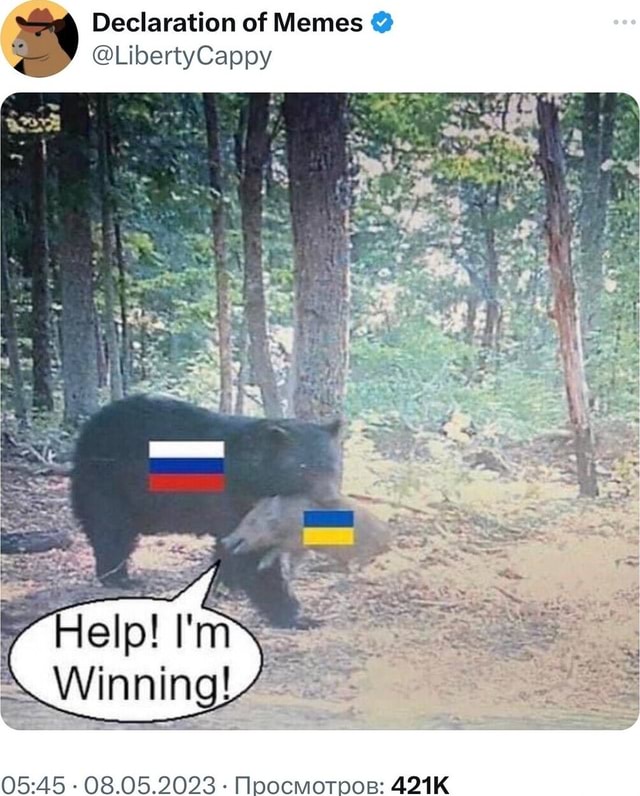 Declaration of Memes @ @LibertyCappy - iFunny