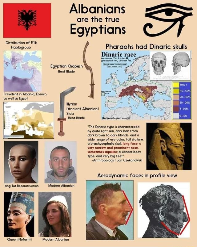 Albanians are the true Egyptians Distribution of HoplogroupI Pharaohs ...