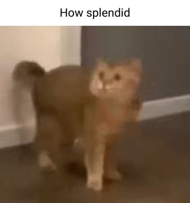 How splendid - iFunny