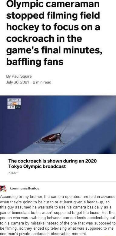 Olympic cameraman stopped filming field hockey to focus on cockroach in ...