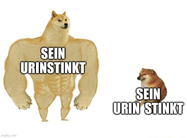 Bilder-Meme WrN6q2hXA von carefreeWear - Keke