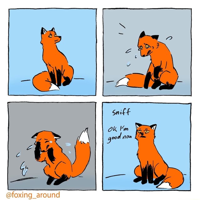 Picture memes wXT18omP7 by NuraFox_2018: 365 comments - iFunny