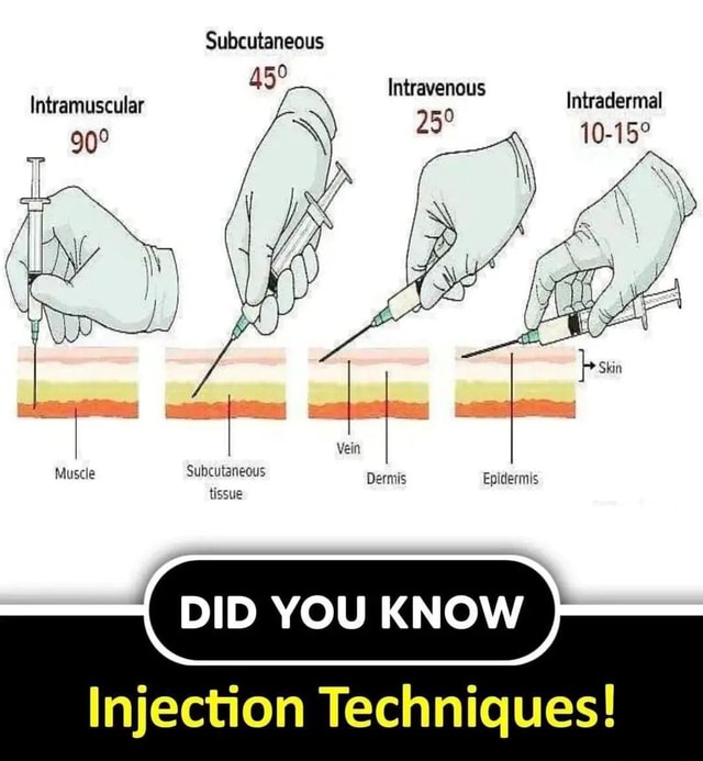 Subcutaneous 45 Intravenous Intradermal 10-1 Intramuscular Muscle ...