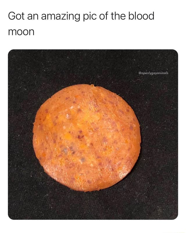 Got an amazing pic of the blood moon - iFunny