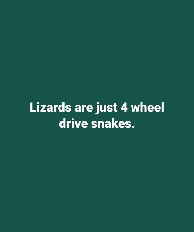 Lizards are just 4 wheel drive snakes. - iFunny