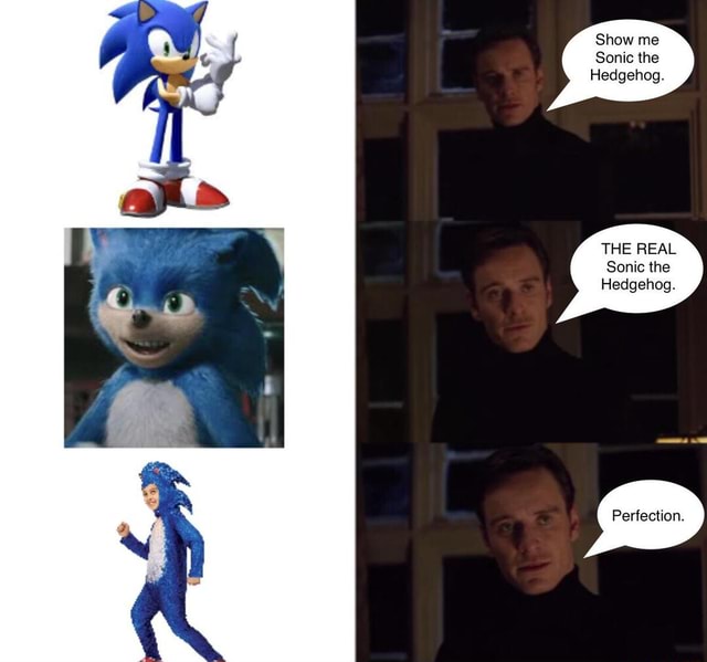 Show me Sonic the Hedgehog. THE REAL Sonic the Hedgehog. Perfection ...