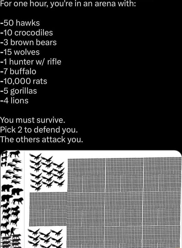 For one hour, youre in an arena with: -50 hawks -10 crocodiles -3 brown ...