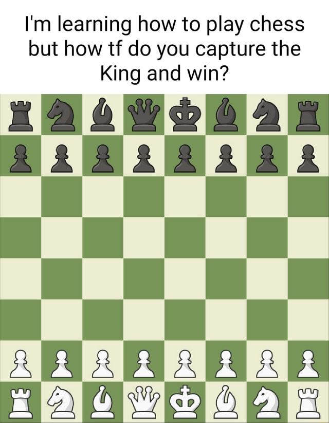 I'm learning how to play chess but how tf do you capture the King and ...