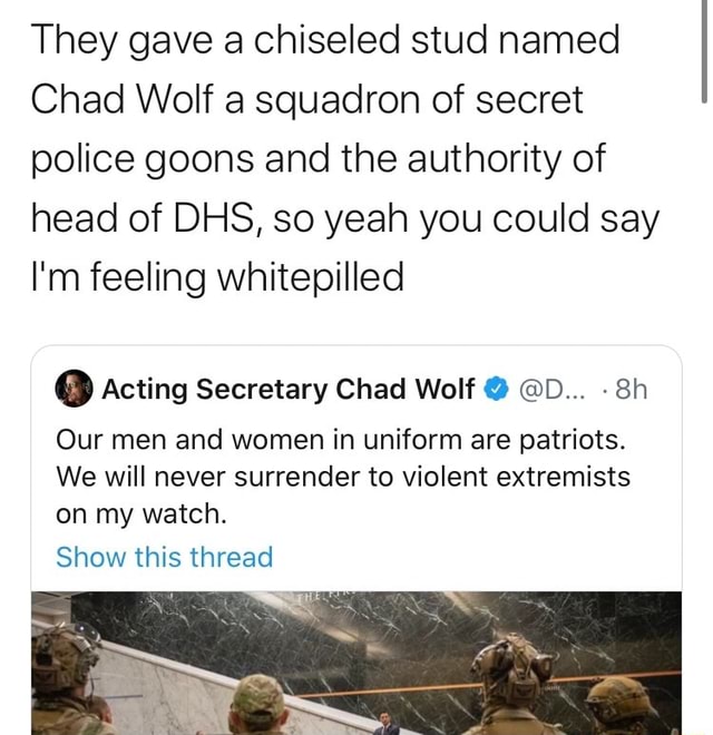 They gave a chiseled stud named Chad Wolf a squadron of secret police ...