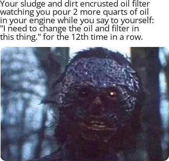 Watching you pour 2 more quarts of oil in your engine while you say to ...