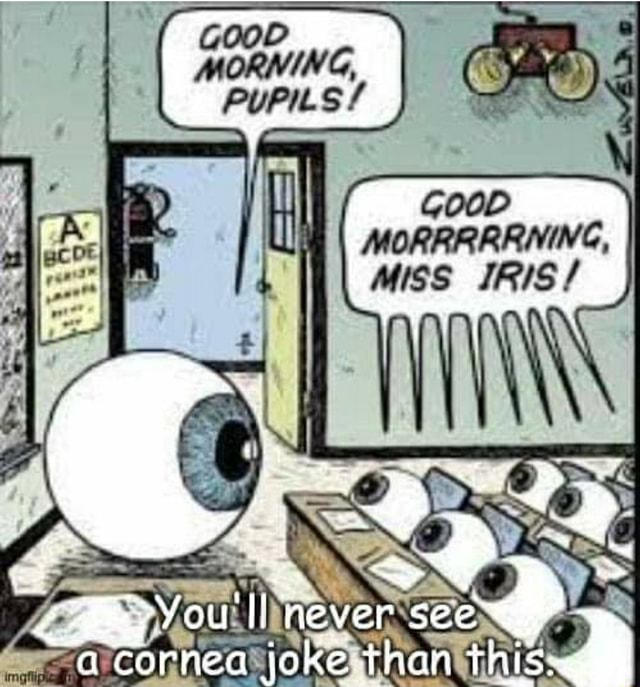 GOOD MORNING, PUPILS / GOOD I MORRRRRNING, miss IRIS / cornea joke than ...