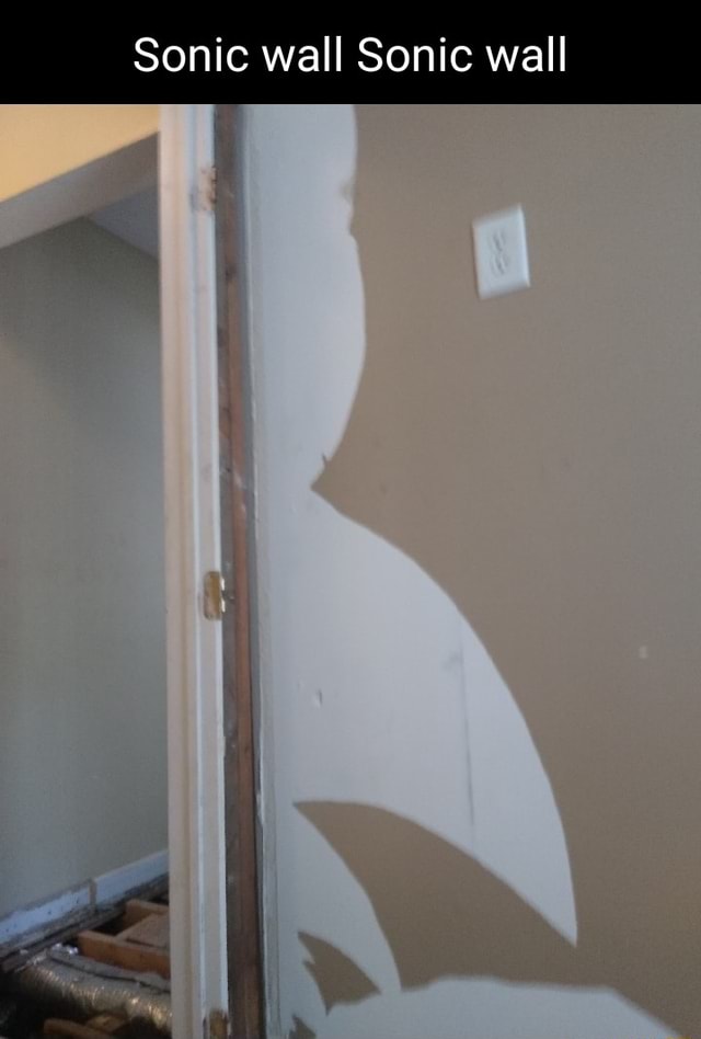 Sonic wall Sonic wall - iFunny