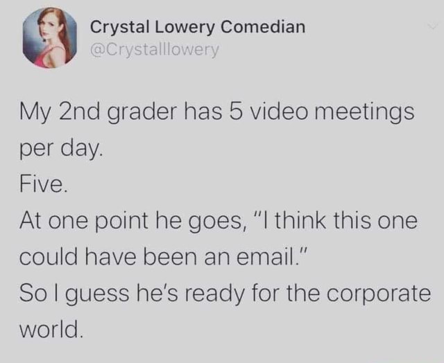 Crystal Lowery Comedian My grader has 5 video meetings per day. Five ...